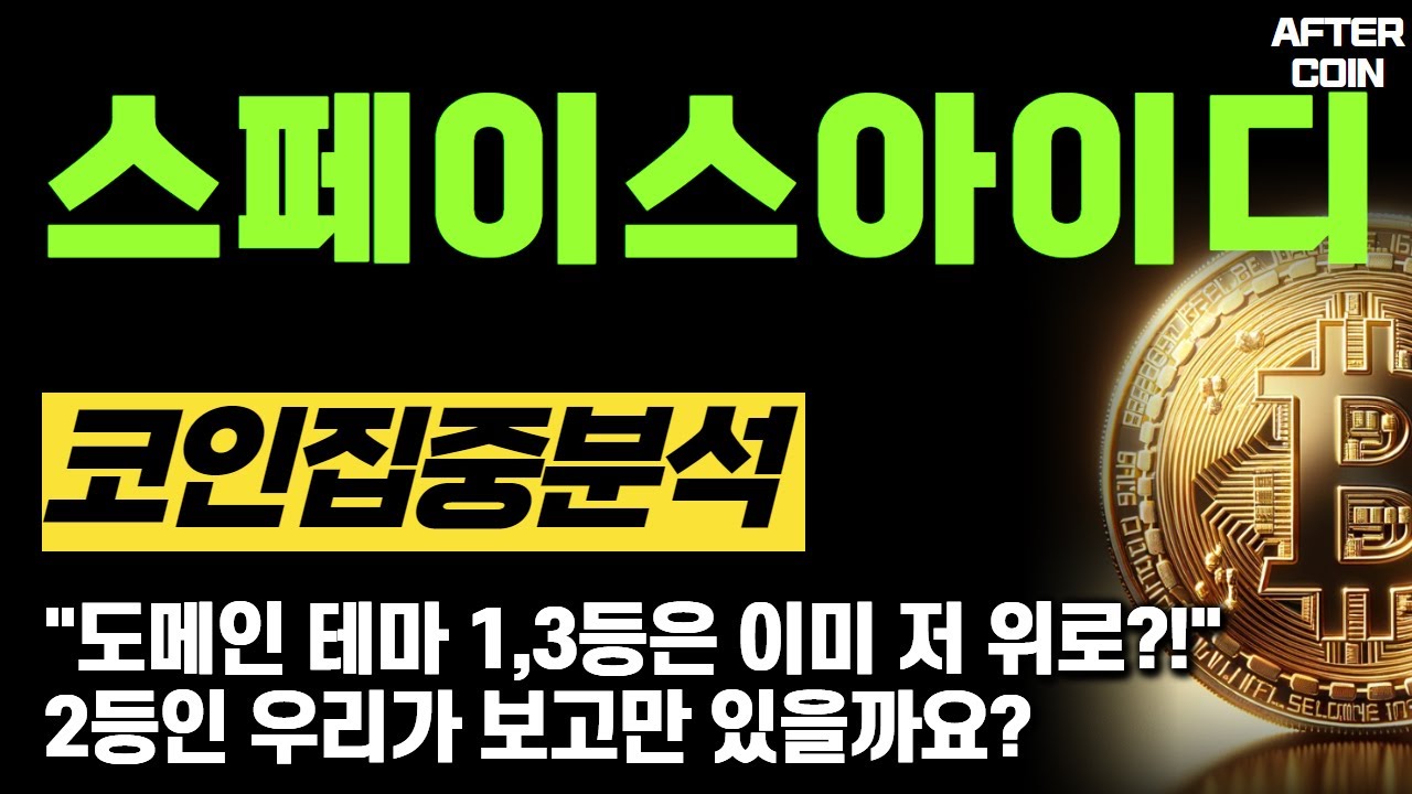 스페이스아이디 코인 도메인 테마 13등은 이미 저 위로 2등인 우리가 보고만 있을까요 스페이스아이디코인전망