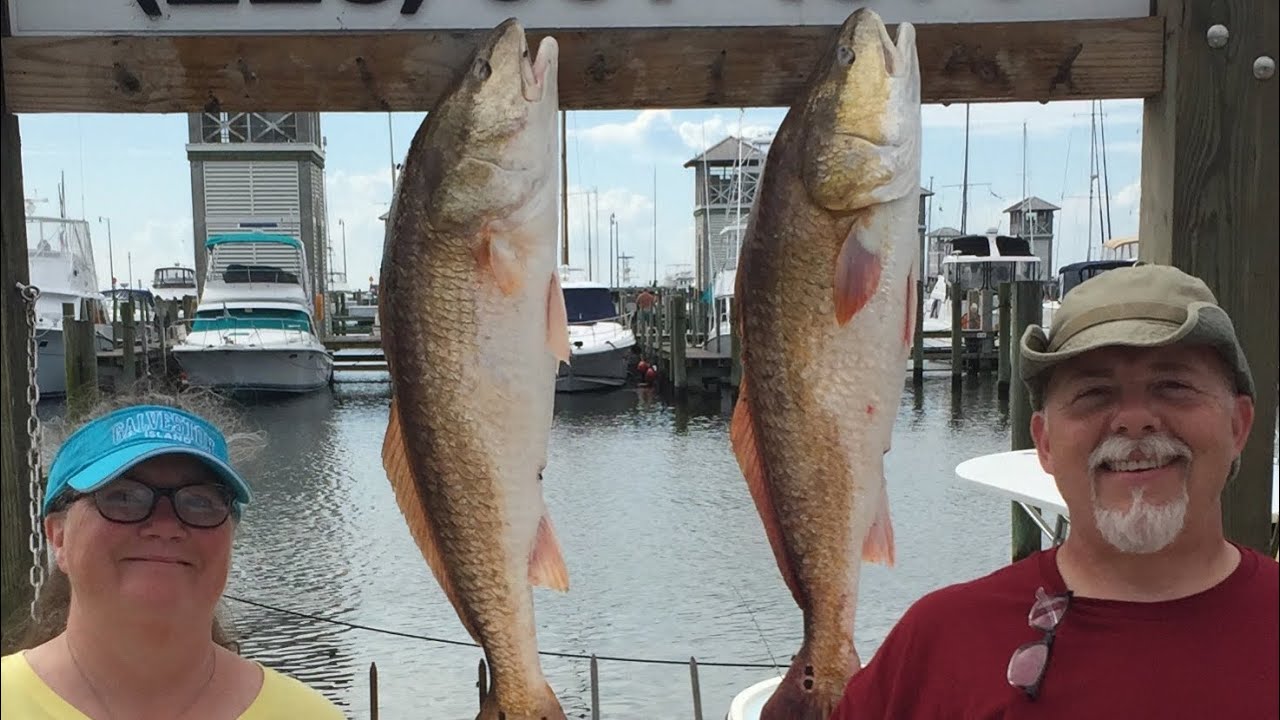 Redfish in the Gulf of Mexico - YouTube