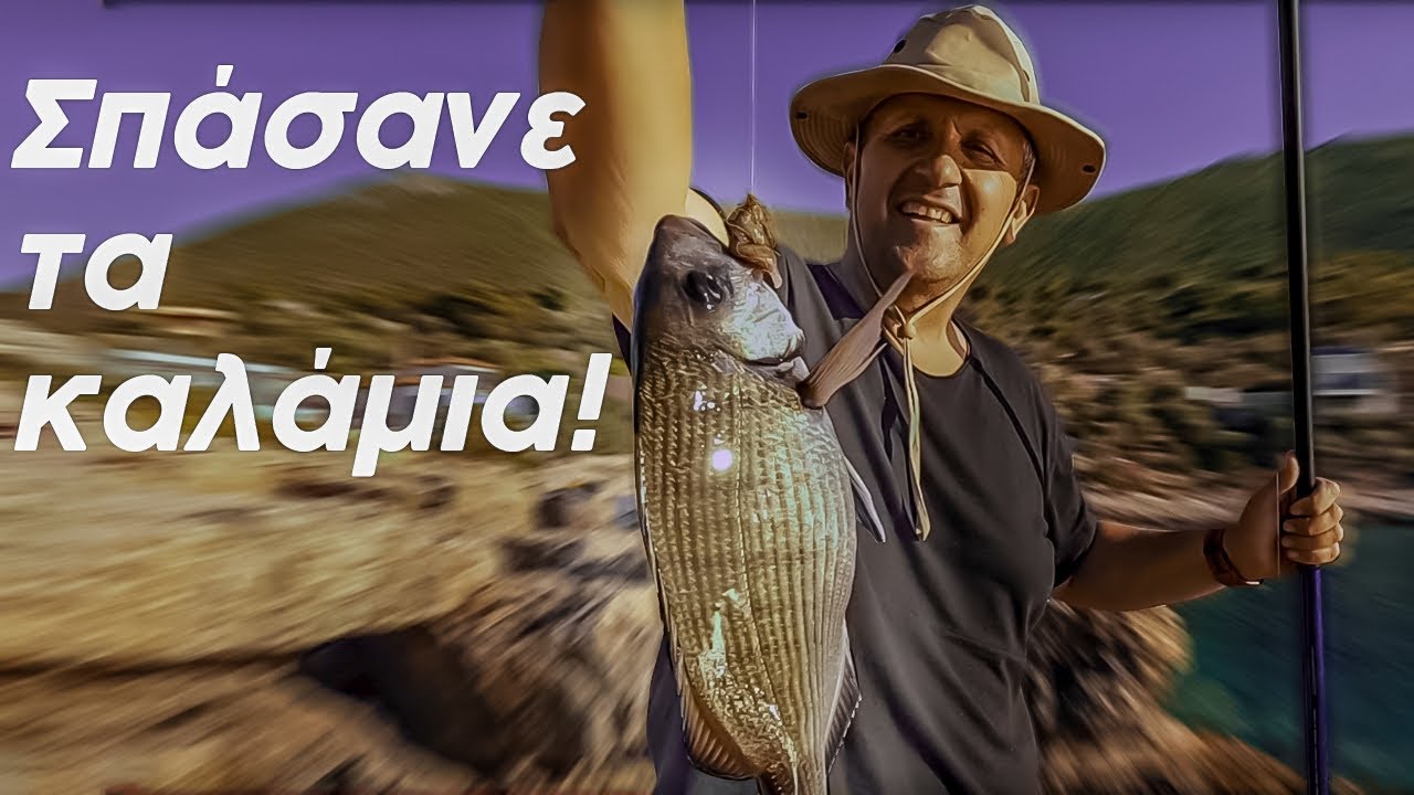 Σαργοί... και Τέρατα μας σπάσανε τα καλάμια! - YouTube