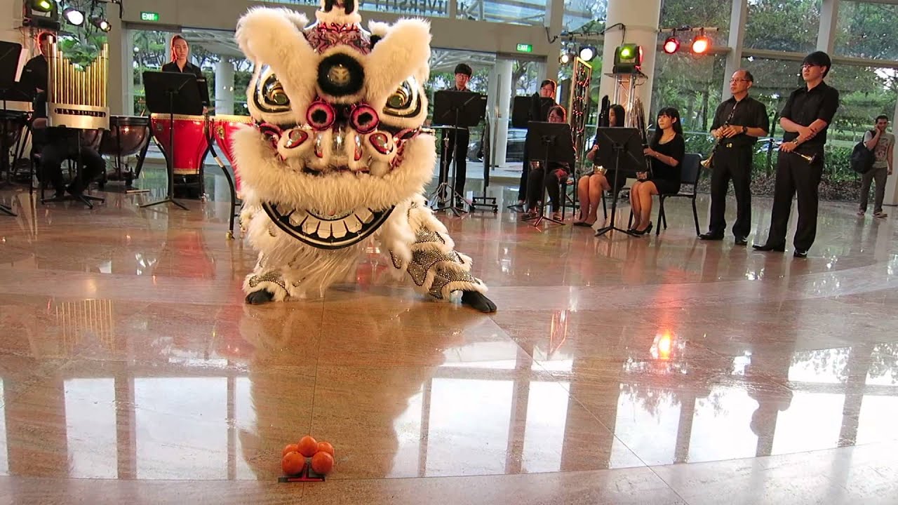 NUS HERE! Arts Carnival Party 2014 - NUS Chinese Orchestra & NUS Lion ...