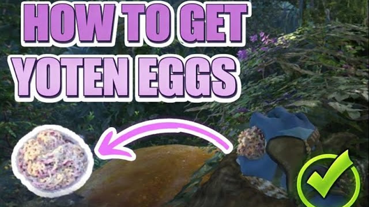 Where to Find Yoten Eggs in Avatar Frontiers Of Pandora - YouTube