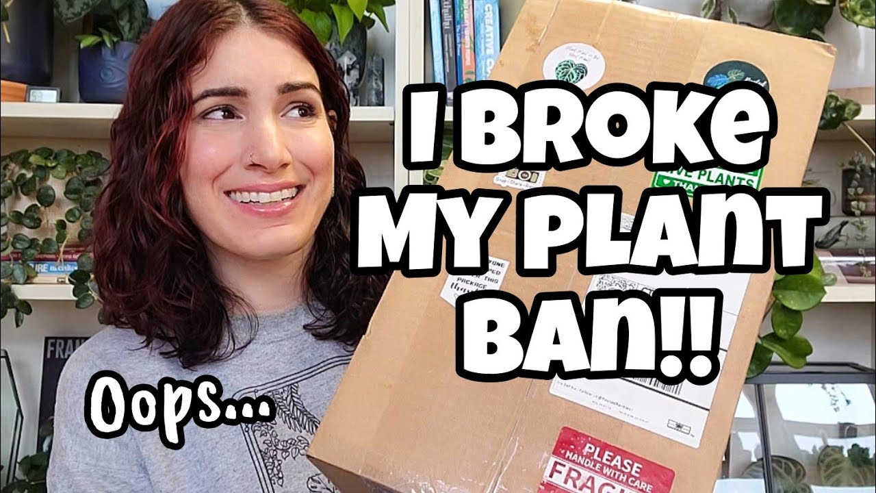 I BROKE MY PLANT BAN 😬 plant mail from Rooted Rarities 🌿 ️ wishlist ...