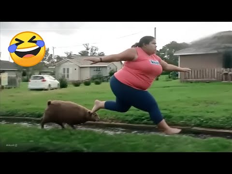 Try Not To Laugh Funny Videos - Funny Moments Of The Year Compilation 😂 ...