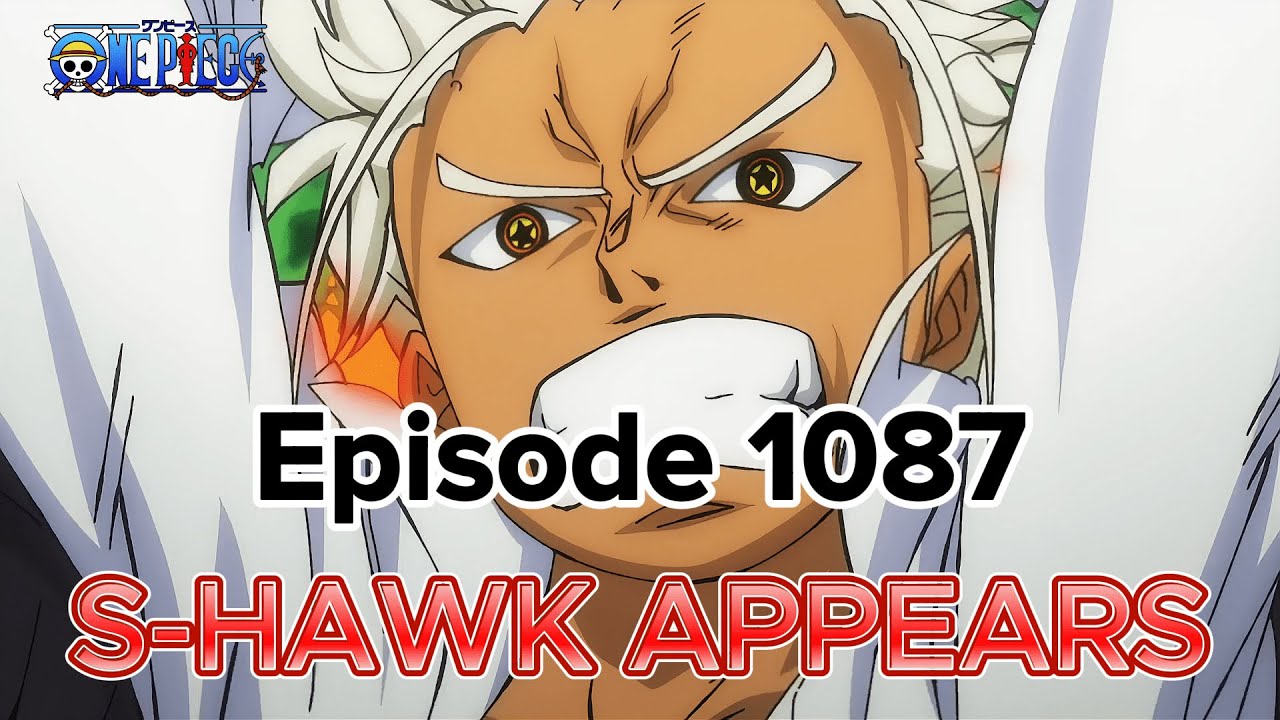 Blackbeard encounter with S-Hawk, Boa Hancock was captured | One Piece ...