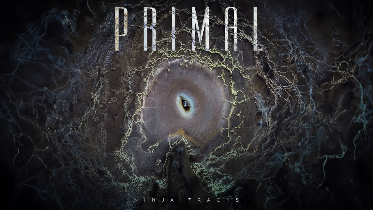 Ninja Tracks Primal Teaser - YouTube
