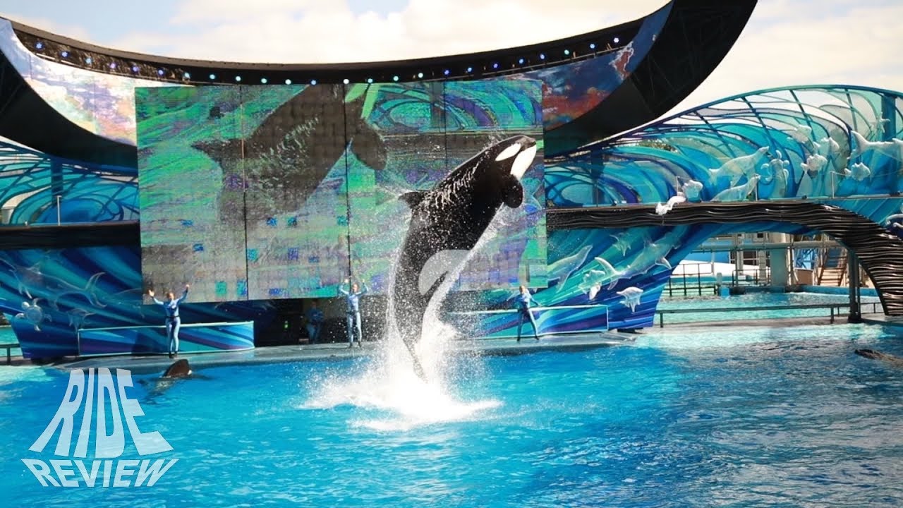 Shamu Stadium One Ocean - SeaWorld Orlando (Florida) - YouTube