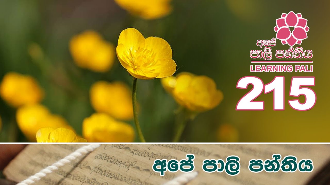 අපේ පාලි පන්තිය 215 | Learning Pali Language - YouTube