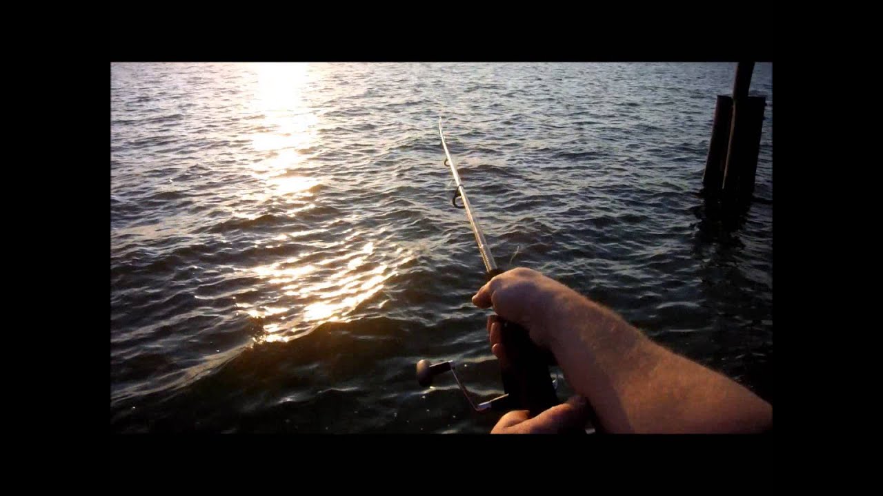 Bush River, Edgewood, MD Kayak and Pier Fishing White Perch and ...