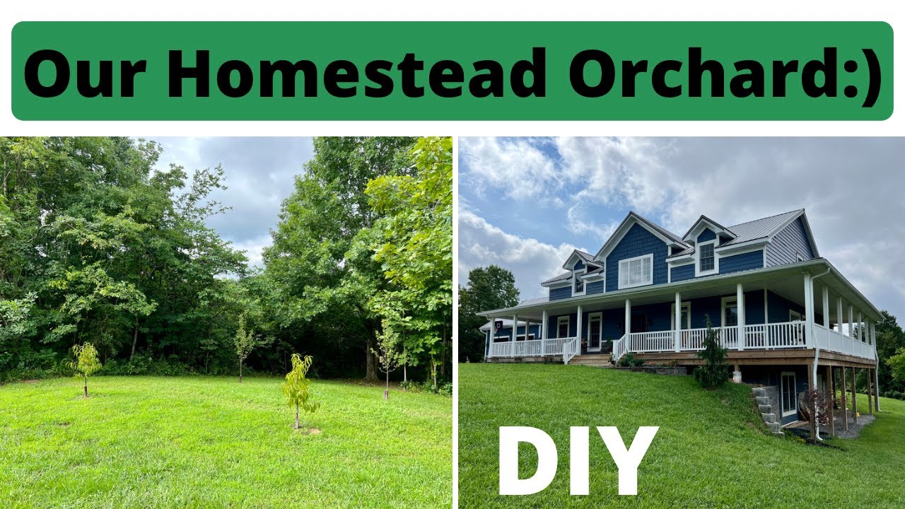 DIY Tree Orchard On Our Homestead: Apple, Pear & Peach! - YouTube