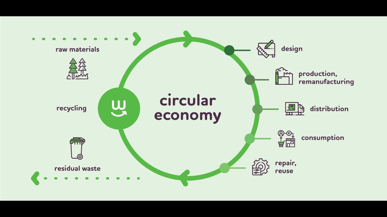 Understanding the 'Circular Economy' #economy #circular #regenerative # ...