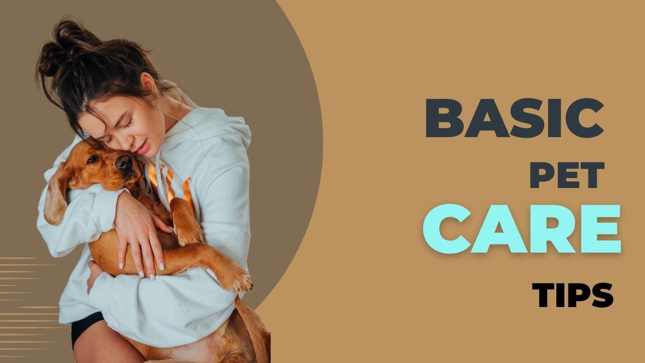Basic Pet Care Tips - YouTube