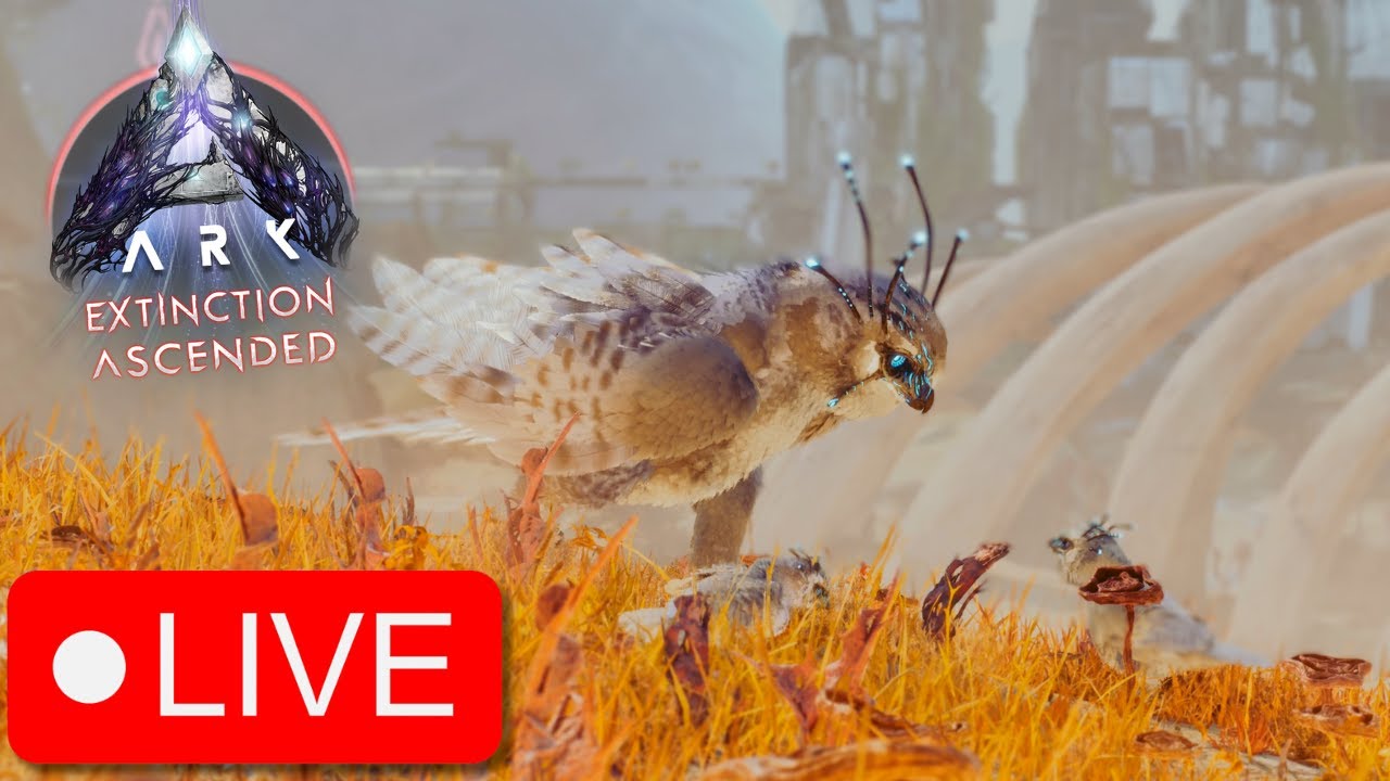 Taming Snow Owls! | ARK: Extinction Ascended LIVE - YouTube