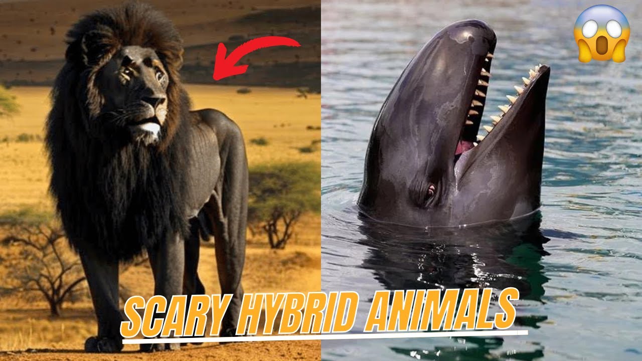 10 Scary Hybrid Animals that Actually Exist - Wild Facts - YouTube