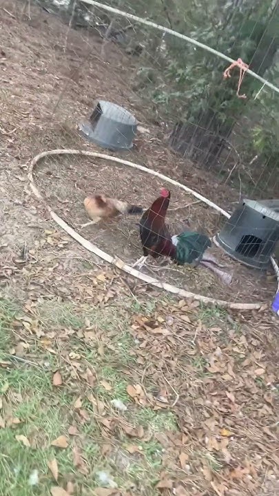 Full Gamefarm Walkthrough for 2024 - YouTube