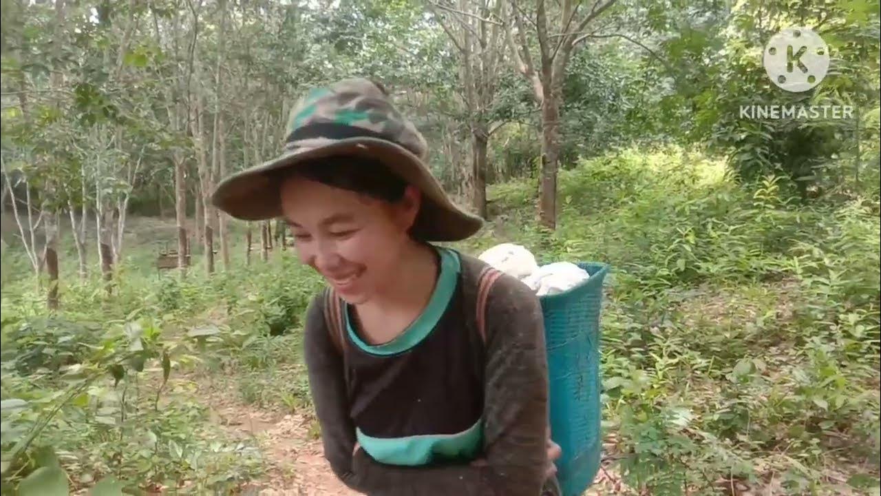 Hnub No Peb Mus Sau Yas Nawb - YouTube