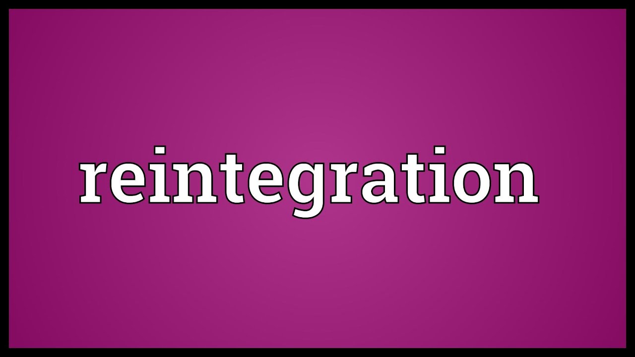 Reintegration Meaning - YouTube