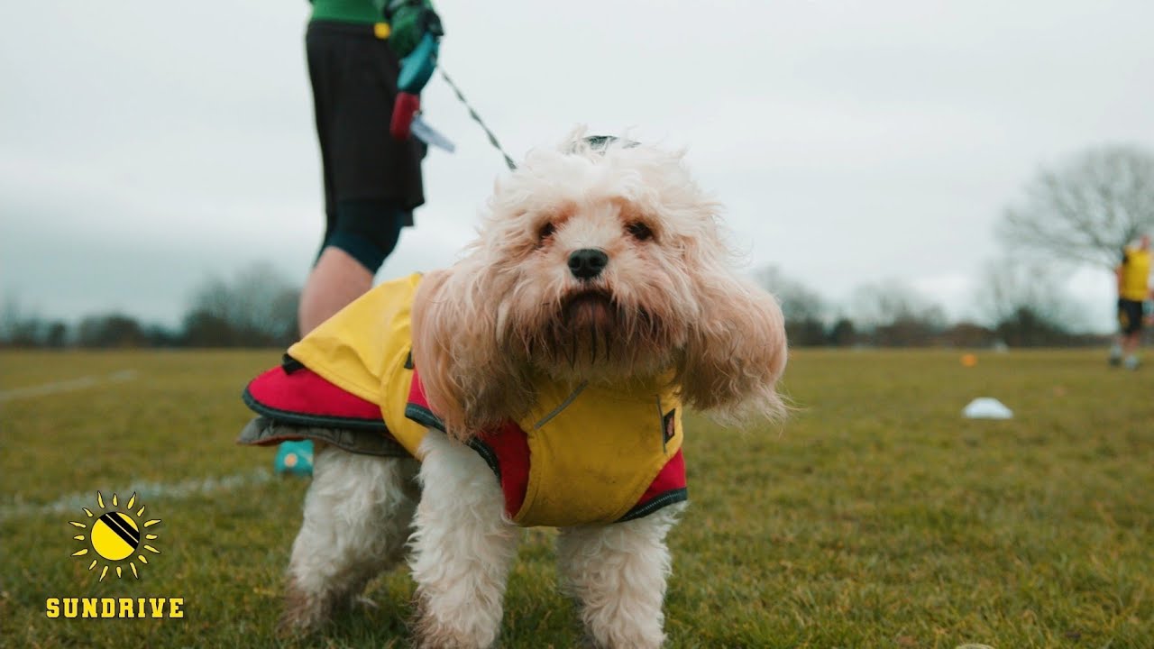 SUNDRIVE SOCIAL ULTIMATE - THE SPIRIT OF SUNDRIVE - YouTube