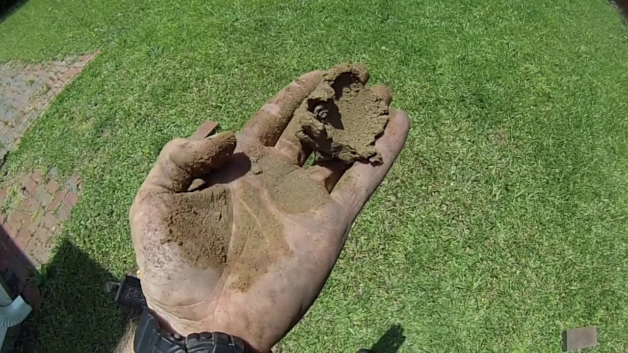 Examples of Healthy soil, Sandy soil and Clay - YouTube