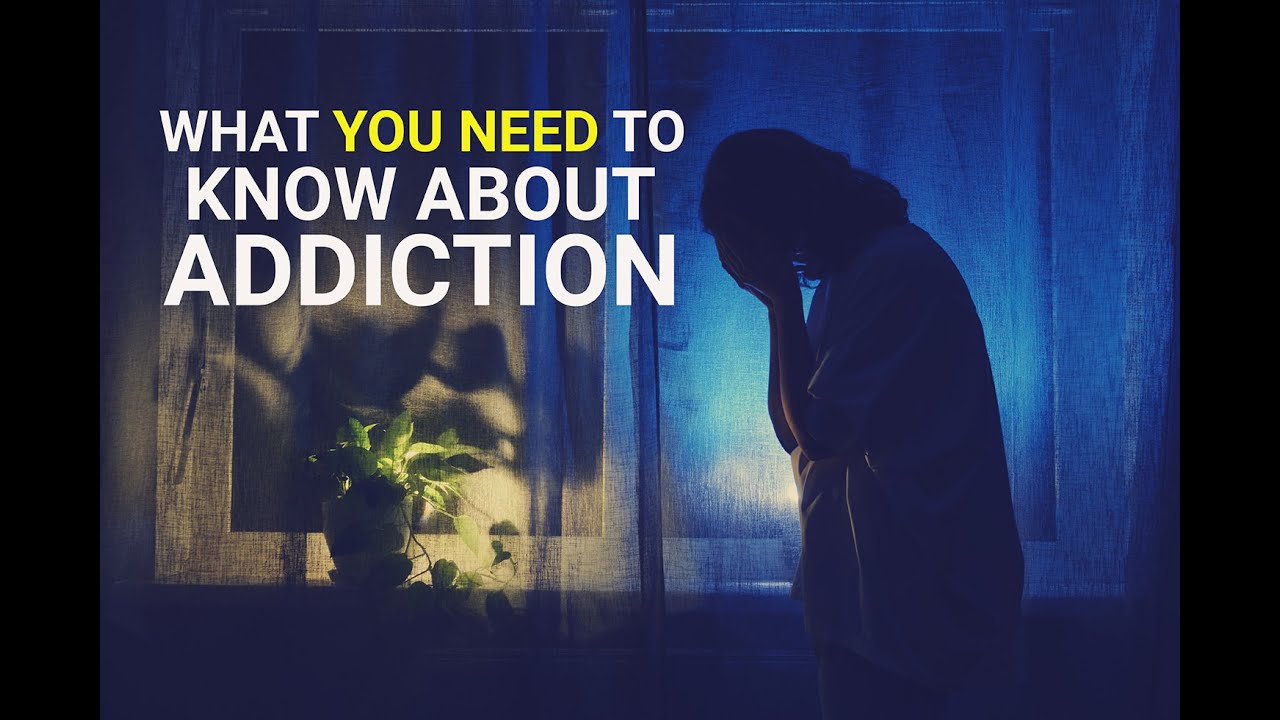 Understanding Addiction: Causes, Stages, Health Risks, and Treatment ...