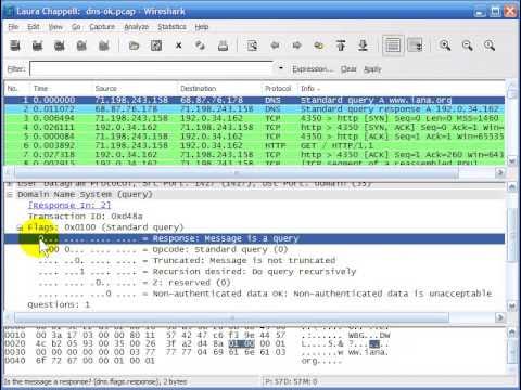 Wireshark TCP-IP Network Analysis WSU02 02 dns - YouTube