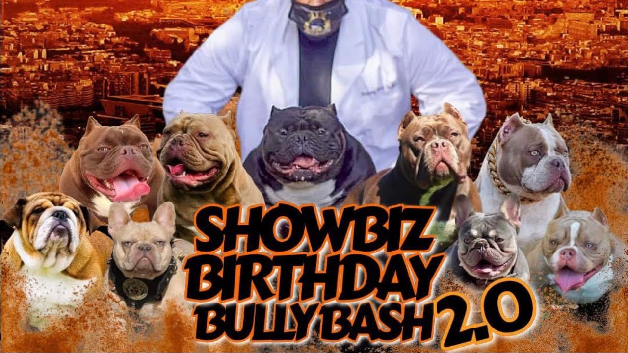 ZLK TV Episode:19 “Showbiz Birthday Bully Bash 2.0”(American Bully ...