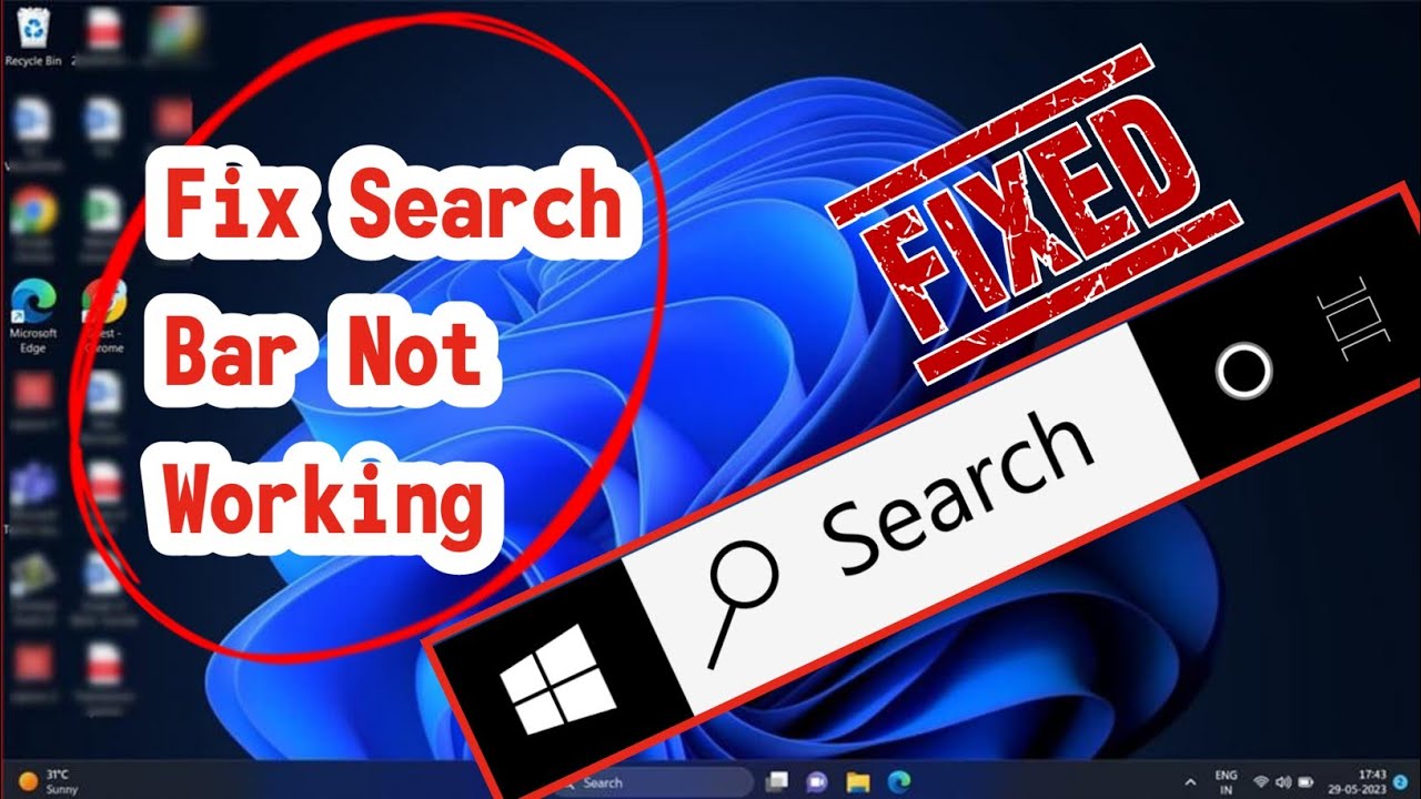 How to Fix Search Bar Not Working in Windows 11/10 (EASY) - YouTube