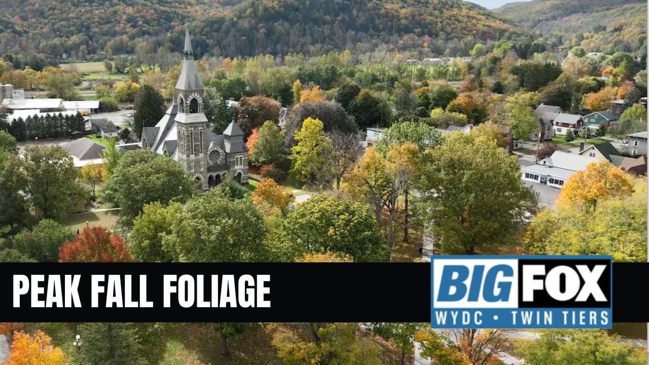 Southern Tier Prepares for Peak Fall Foliage and Busy Holiday Weekend ...