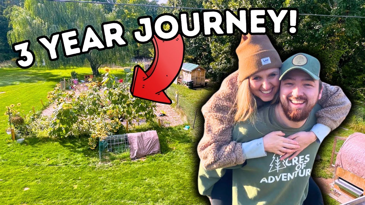 What Is Homesteading? | 3 Year Timelapse Of Our Dream Homestead - YouTube