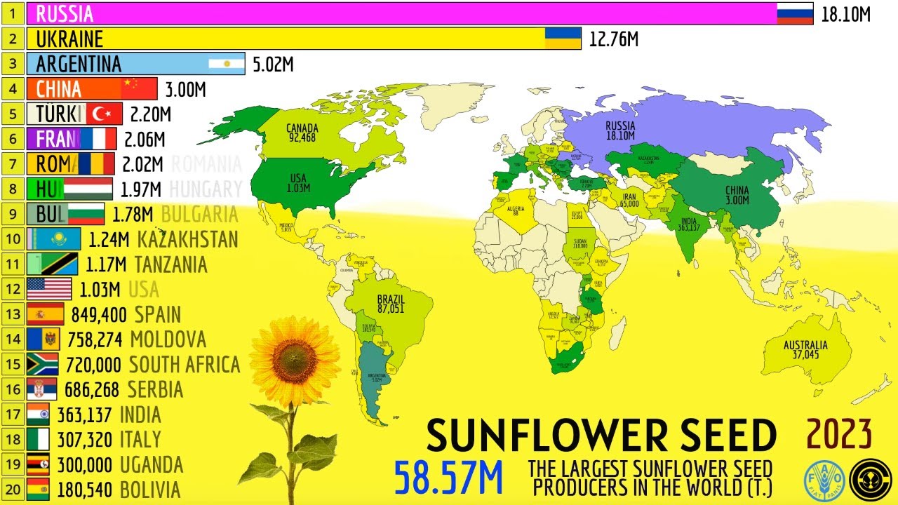 THE LARGEST SUNFLOWER SEED PRODUCERS IN THE WORLD - YouTube