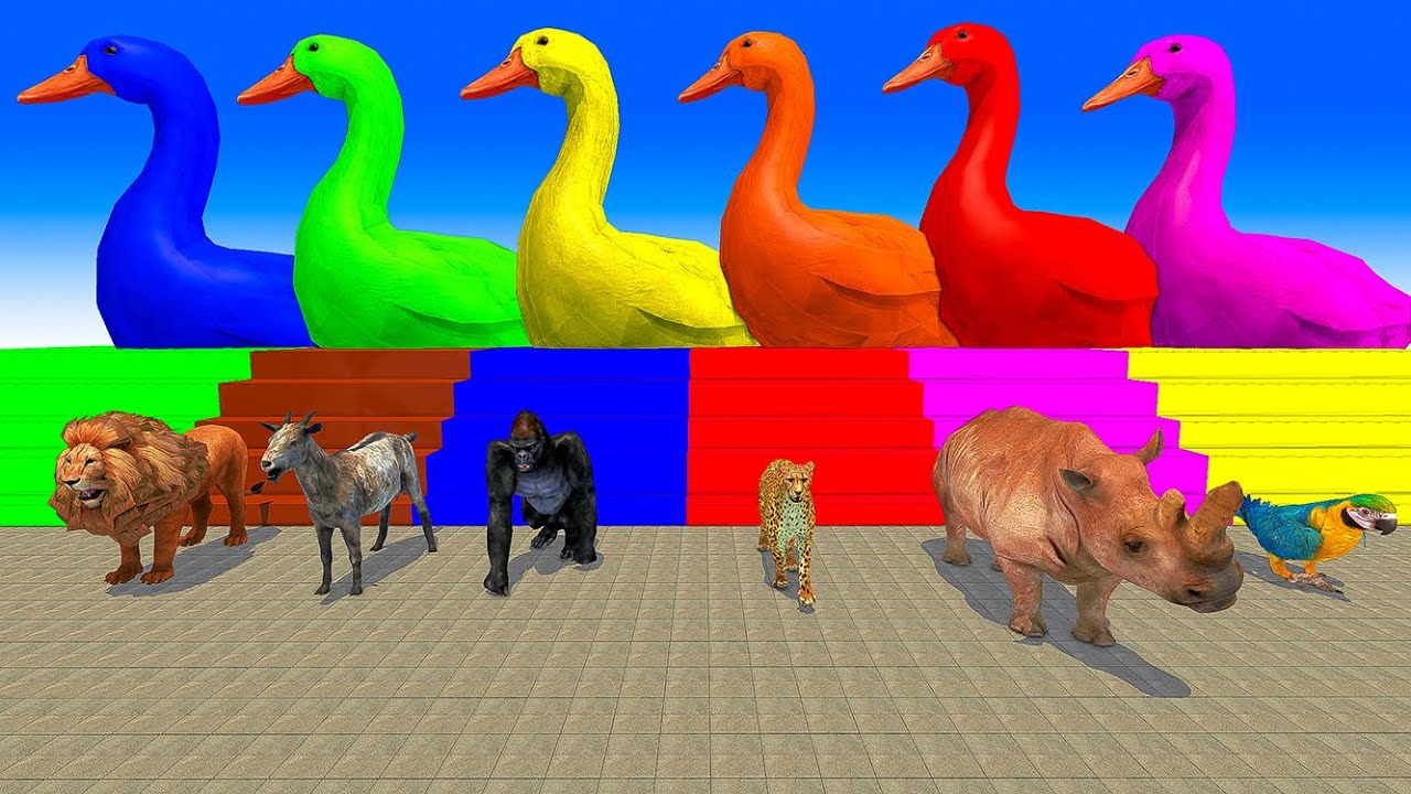 6 Giant Duck Cartoon, Lion, Gorilla, Rhino, Elephant, Bull, Leopard ...