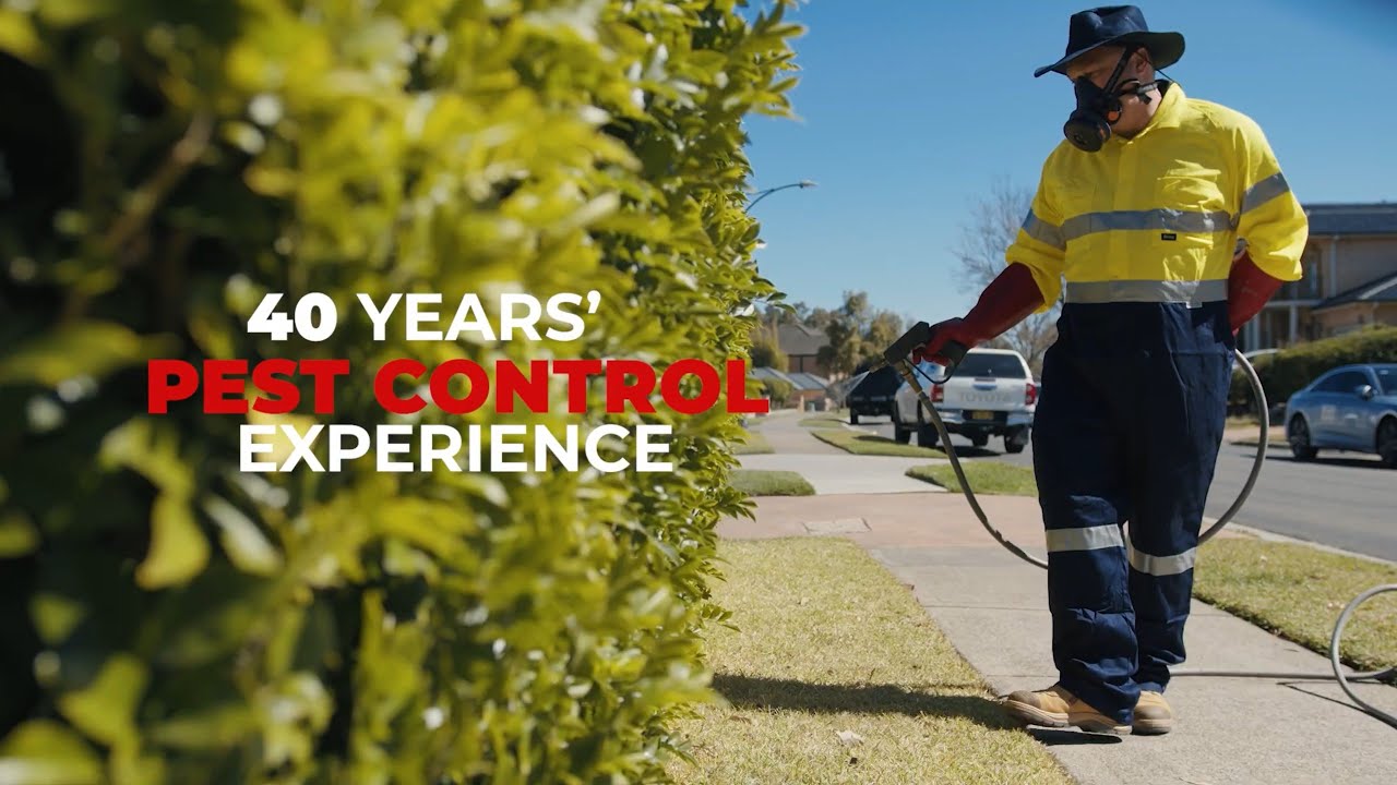 Masters Pest Control Sydney - YouTube