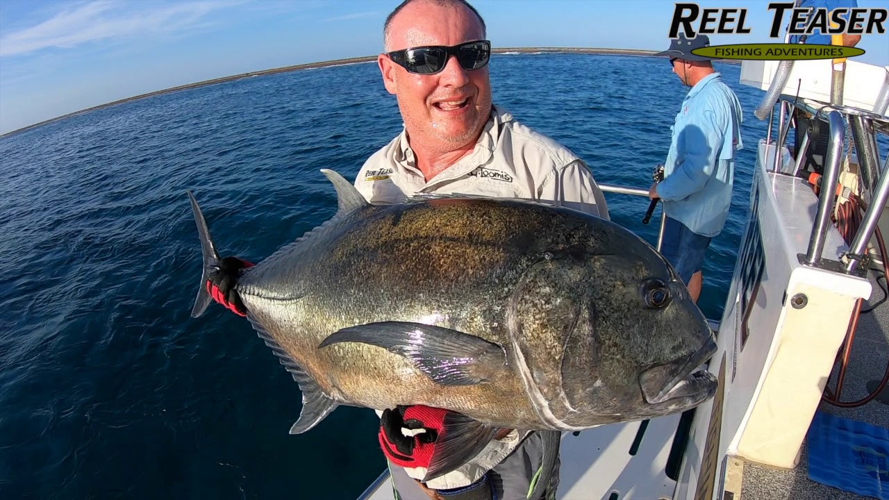 2019 Scott Reef Perfection - YouTube