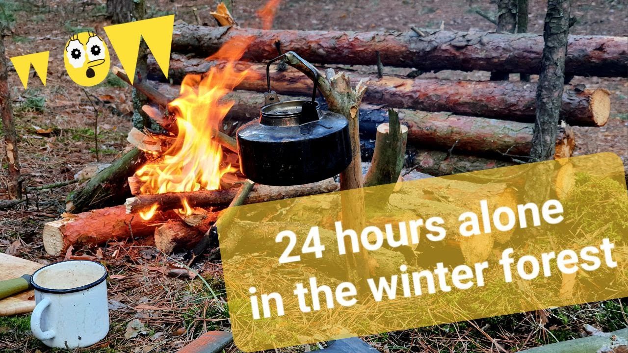 24 hours alone in the winter forest. - YouTube