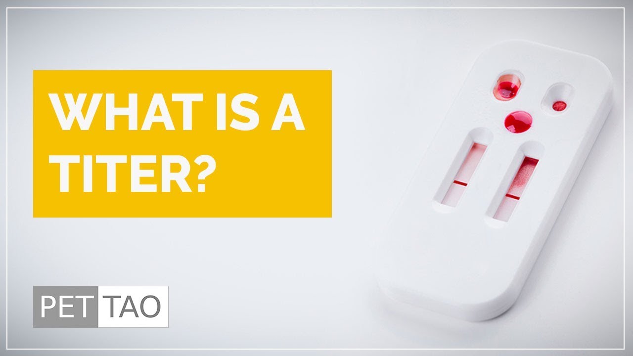 What is a Titer? - PET | TAO Series: Ask Dr. Marc Smith! - YouTube