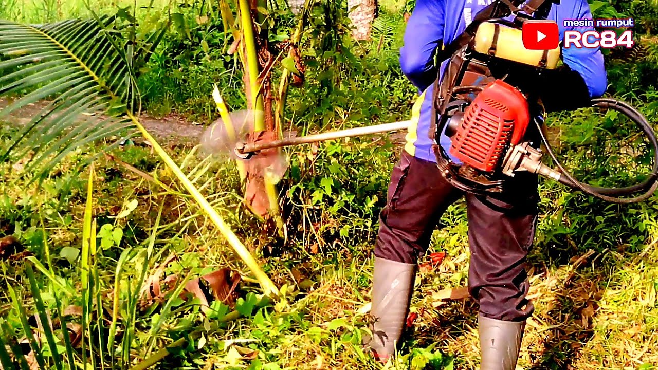 Ternyata Potong Rumput di Kebun Lebih Mudah dibandingkan potong rumput ...