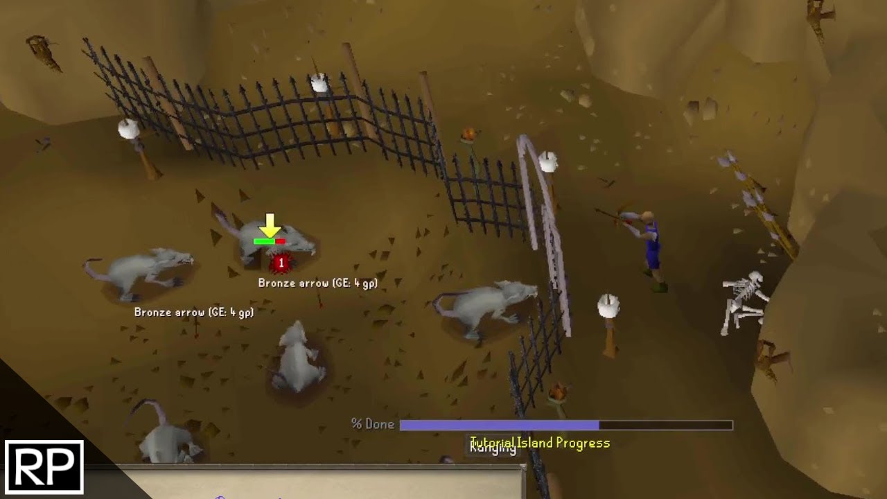 Do You Still Remember The First Time You Safe Spotted A Giant Rat ...