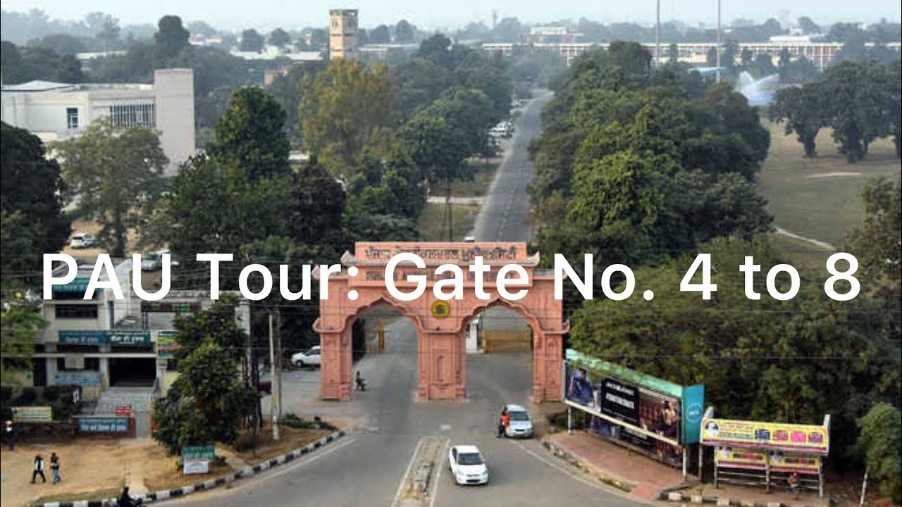 PAU Tour: Gate No. 4 to 8 || PAU Ludhiana || Farming || Agriculture ...