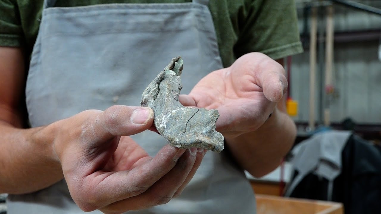BYU Museum of Paleontology study thousands of new fossils - YouTube