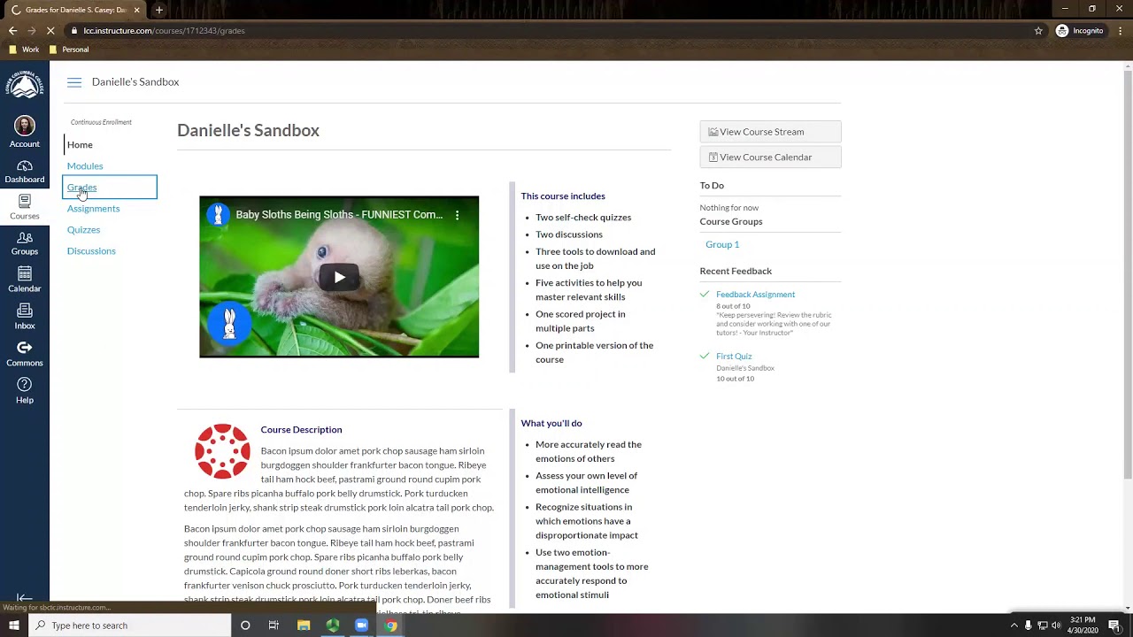 Viewing Instructor Feedback in Canvas - Rubrics - YouTube