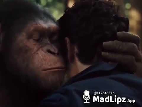 Bayramin mubarek qaqa gulmeli video