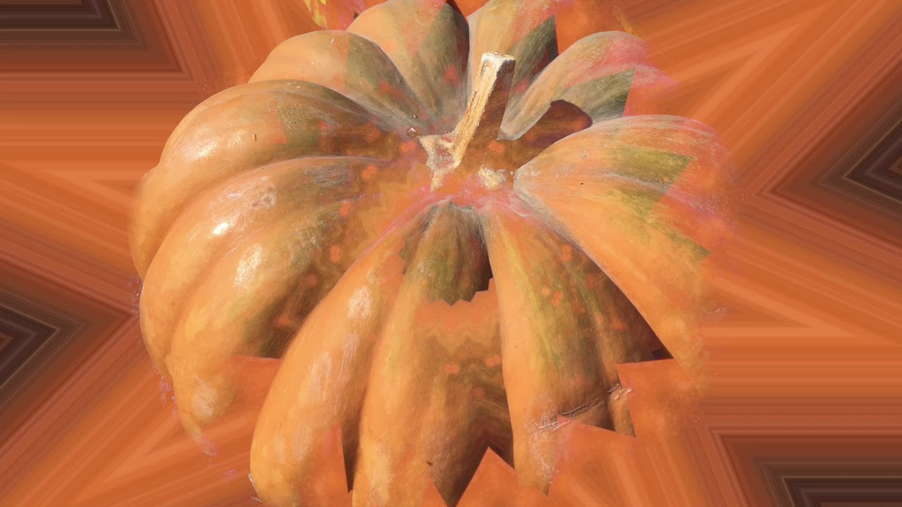 Harvest Time - Official Music Video / Visualizer Music - YouTube