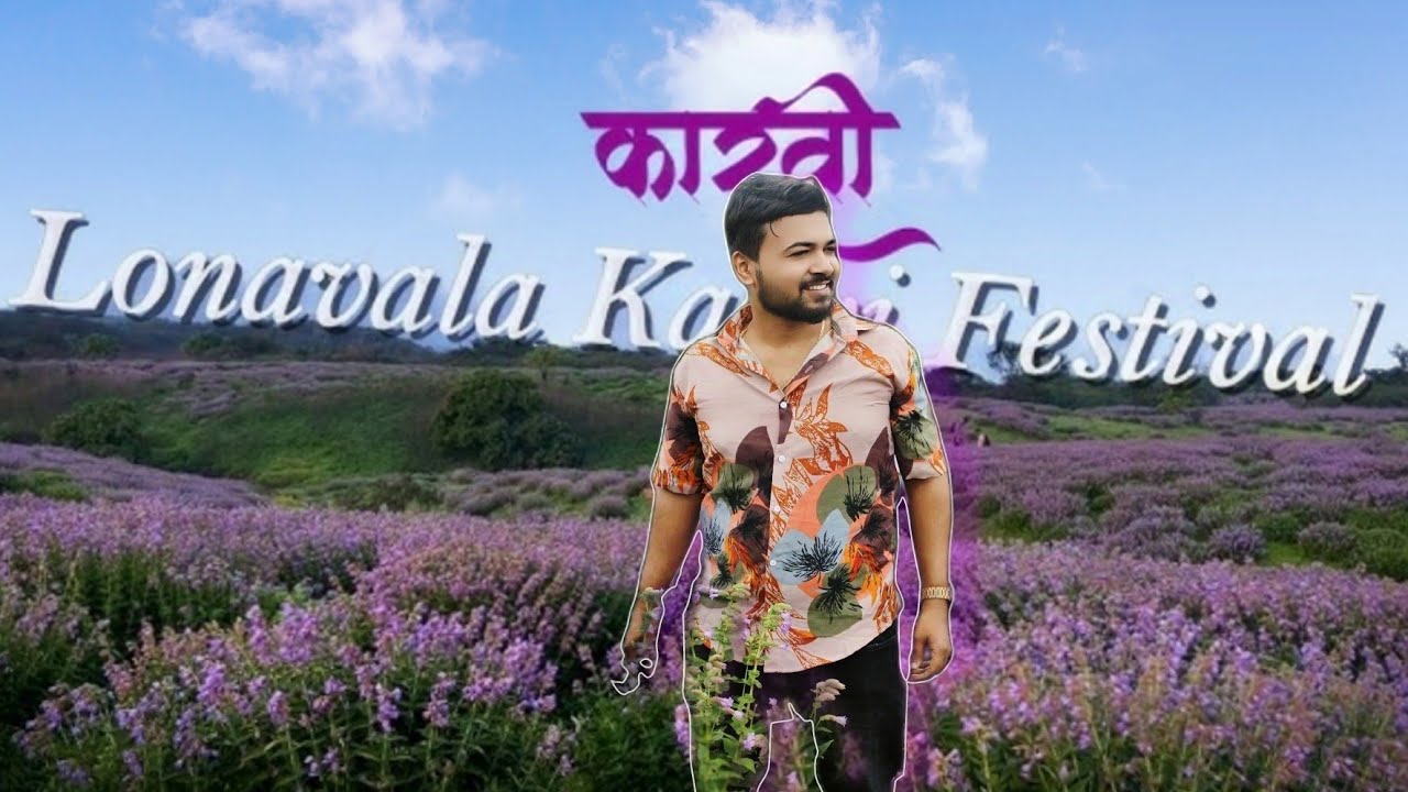 Karvi Flowers 🌻🌷Karvi Festival Lonavla🥰💕 मित्रांसोबत गेलो कारवीची फुले ...
