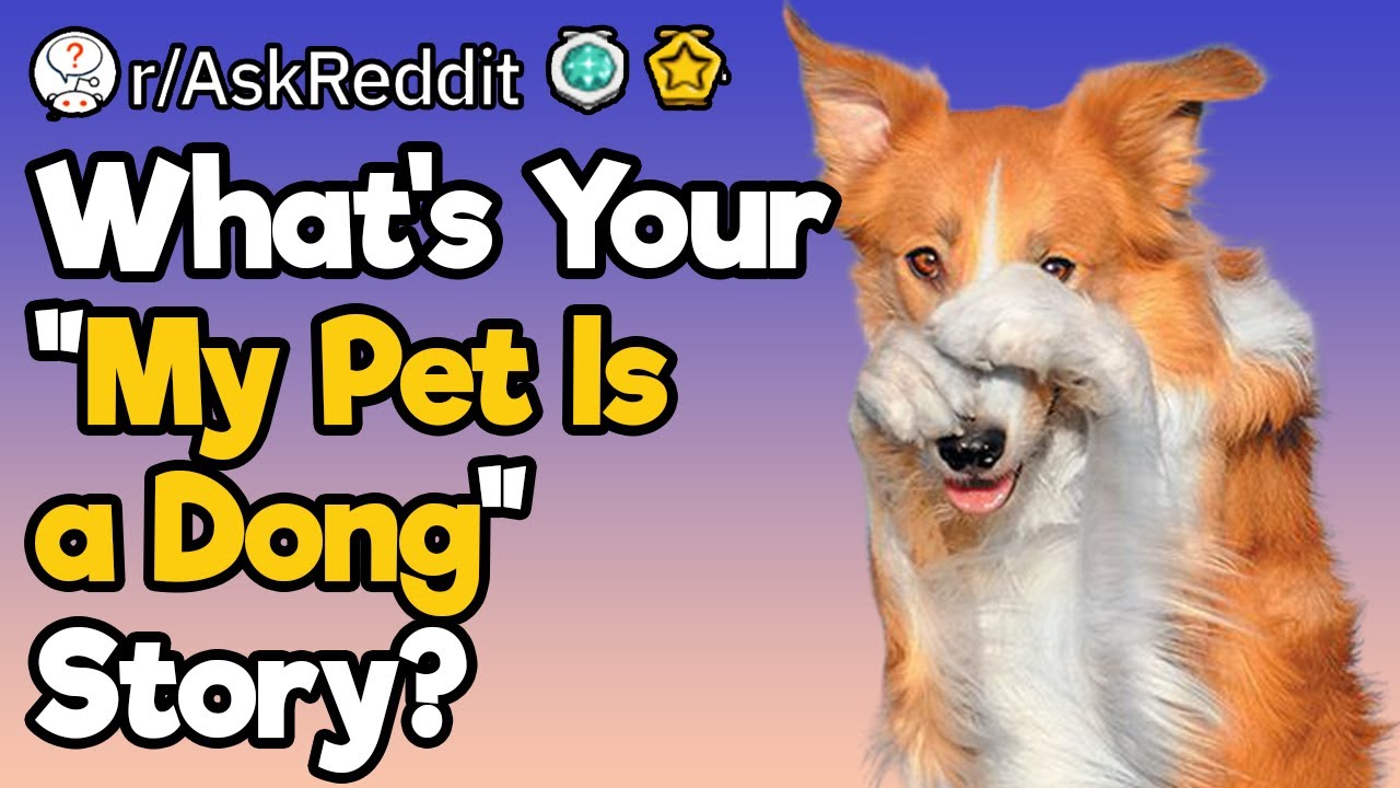 My Pet Is a Dong - YouTube