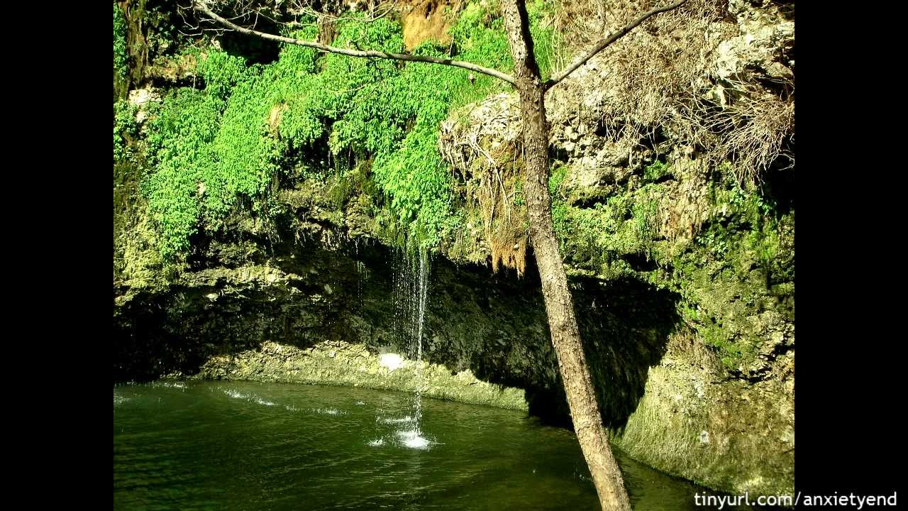 Relaxing Rain in Forrest for a Good Night Sleep - YouTube