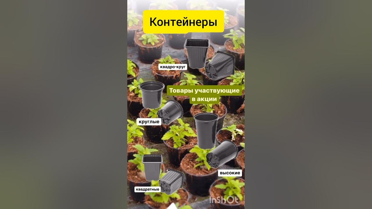 Контейнеры для рассады - YouTube