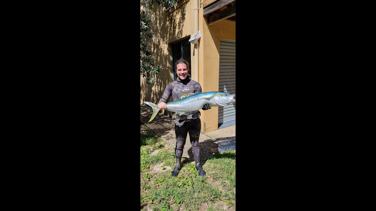 Spearfishing Seal Rocks - weekend away with the boys - YouTube