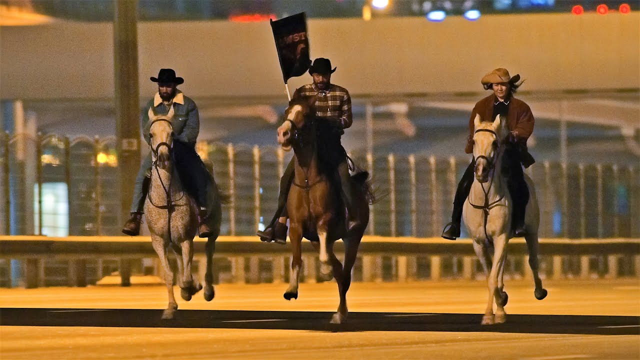 Cowboys gallop down Dubai’s Sheikh Zayed Road in a wild horse - YouTube