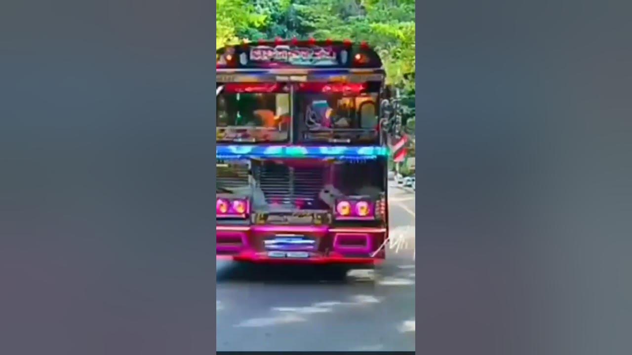 කව් රුත් දන්න ඒ කිරිල්ලි ️🩹 Youtube