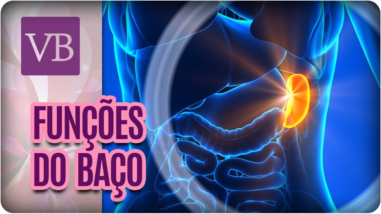 Baço: Importância e Funções - Você Bonita (22/03/18) - YouTube