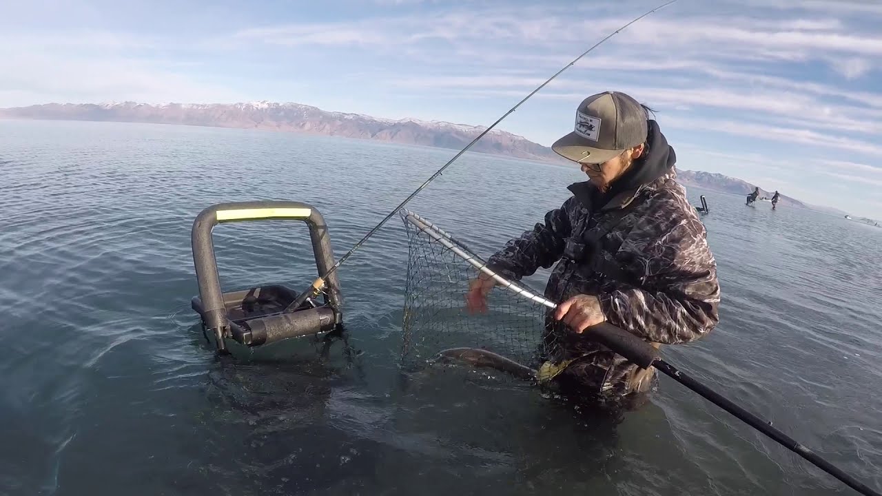 Fishing on LADDERS?! (Pyramid Lake, Nv) - YouTube